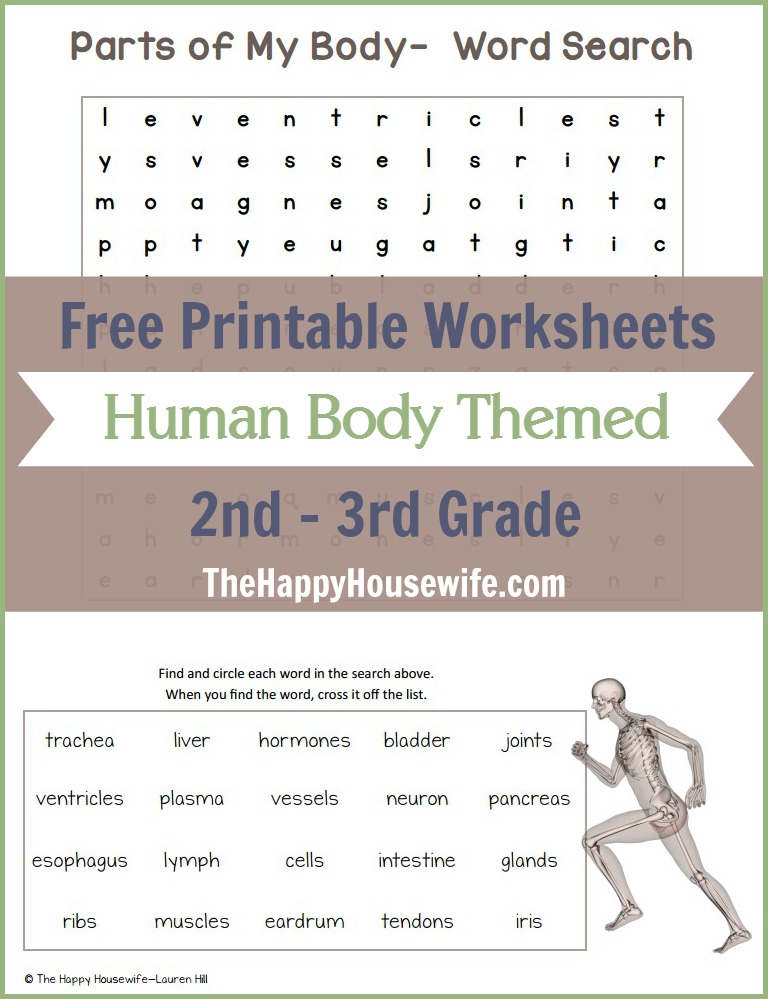 Human Body Themed Worksheets Free Printables The Happy Housewife 