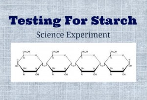 Testing for Starch Science Experiment - The Happy Housewife™ :: Home ...